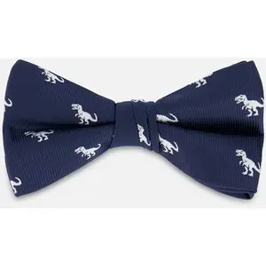 DEUX PAR DEUX Printed Bow Tie - Blue Dino Print