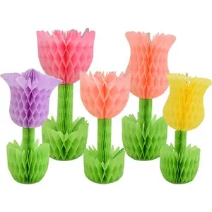 DAYDREAM SOCIETY Tulip Honeycomb Set Of 5 - Assorted Pre-pack