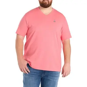 Psycho Bunny Big & Tall V-neck T-shirt - Rubi Quartz