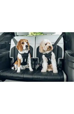 Thule Dog Harness