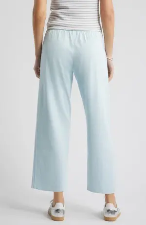 Caslon Ankle Wide Leg Travel Pants - Blue Delicate