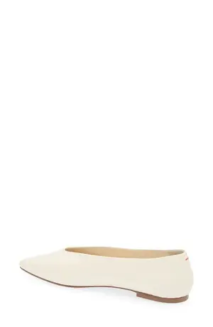 AeydĒ Betty Pointed-toe Flat