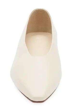 AeydĒ Betty Pointed-toe Flat