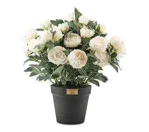 MACKENZIE-CHILDS Peony Urn Filler - One-color