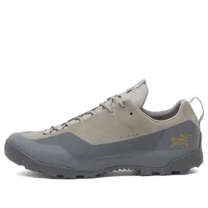 Arc'teryx Cushioned Shoes For Men
