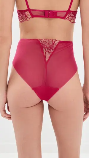 Bluebella Amarosa Briefs