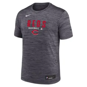 Nike Cincinnati Reds Authentic Collection Dri-fit Mlb T-shirt