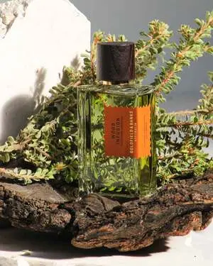 GOLDFIELD& Perfume Wood Infusion 100ml
