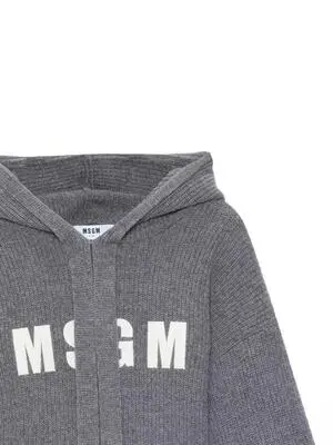 MSGM Logo-lettering Hoodie