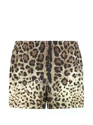 Dolce & Gabbana Logo Print Swimsuit