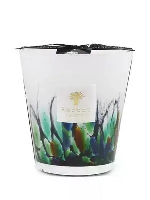 BAOBAB COLLECTION Max 16 Rainforest Amazonia Candles - White