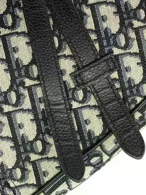 Dior Saddle Oblique Canvas Crossbody Bag
