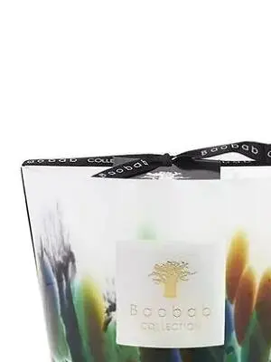 BAOBAB COLLECTION Max 10 Rainforest Amazonia Candles