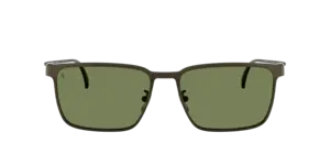 FERRARI Fh1033d Sunglasses - Green Crystal
