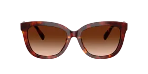 COACH Sunglasses - Brown Gradient