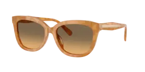 COACH Coach Sunglasses Olive