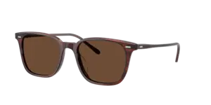 Oliver Spencer Laedin Sunglasses - Brown Polarized