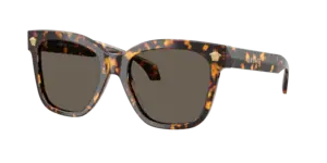 Versace Full Rim Sunglasses - Brown