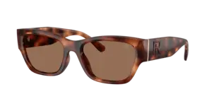 Ralph Lauren Rl8240u Sunglasses - Brown