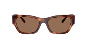 Ralph Lauren Rl8240u Sunglasses - Brown