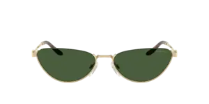 Ralph Lauren Rl7095 Sunglasses - Bottle Green