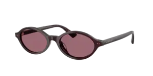 JIMMY CHOO Jimmy Choo JC5068U Sunglasses Violet