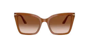 Emporio Armani Sunglasses - Brown Gradient