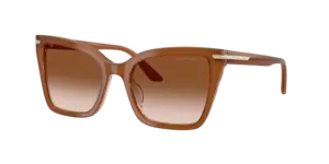 Emporio Armani Emporio Armani Sunglasses Brown Gradient