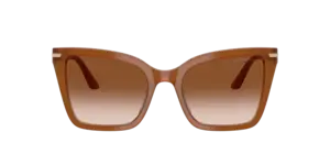Emporio Armani Sunglasses - Brown Gradient