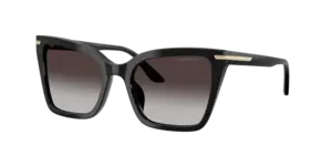 Emporio Armani Sunglasses - Grey Gradient