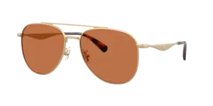 COACH Hc7190 Sunglasses - Amber Solid