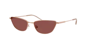 Emporio Armani EA2174B Sunglasses Dark Violet