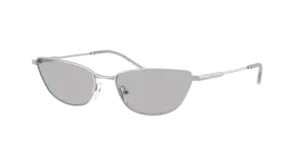 Emporio Armani Ea2174b Sunglasses - Light Grey