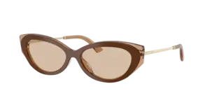 JIMMY CHOO Sunglasses - Light Brown