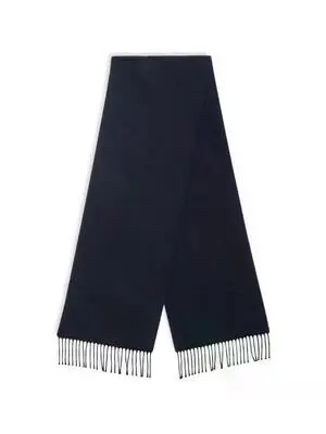 Brooks Brothers Fringed Scarf - Blue