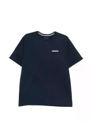 Patagonia Graphic T-shirt - Blue