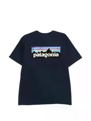 Patagonia Graphic T-shirt - Blue