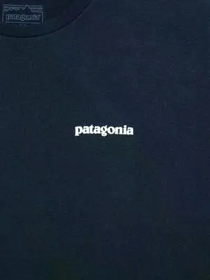 Patagonia Graphic T-shirt - Blue