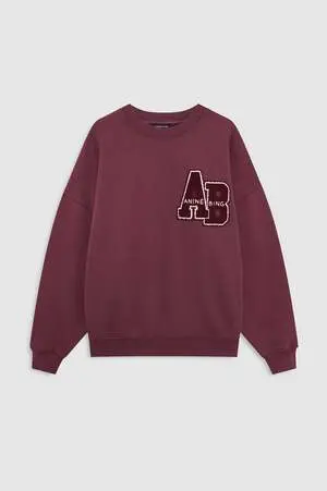 ANINE BING Miles Letterman Sweatshirt - Fig