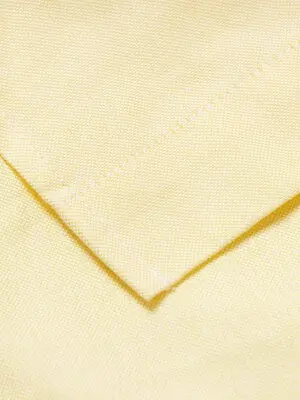 Portuguese Flannel Belavista Button-down Collar Cotton Shirt - Yellow