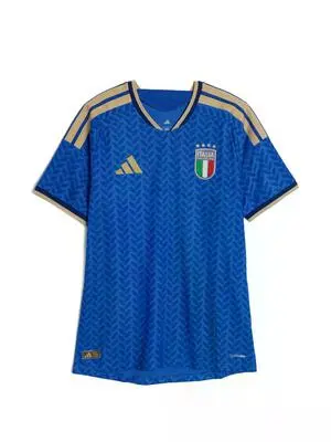 Adidas Figc V-neck Graphic T-shirt