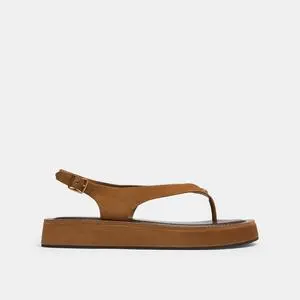 COACH Sculpted C Platform Thong Sandal - Coconut