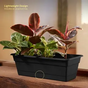 BLOEM 18 Inch Dura Cotta Window Box Planter
