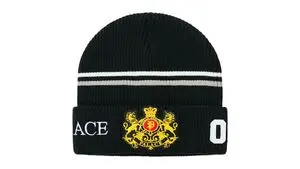 PALACE Established Beanie - Black