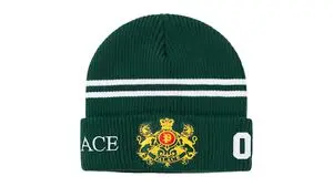 PALACE Established Beanie