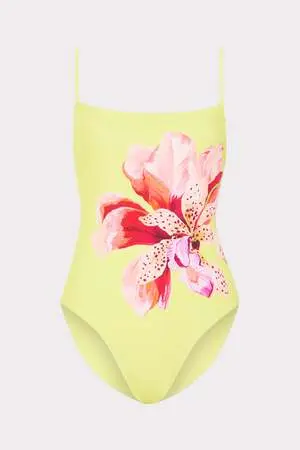 MILLY Songe D'iris Floral One-piece Swimsuit