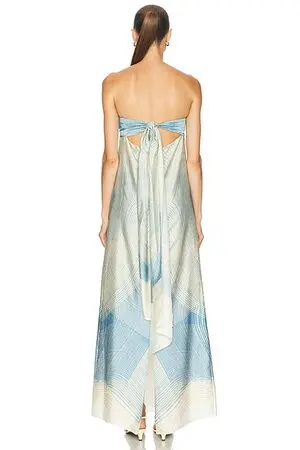 Alexis Dianne Maxi Dress