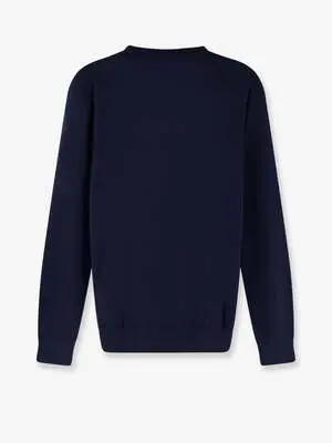 Polo Ralph Lauren Cotton Sweater With Embroidered Logo - Blue