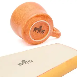 HOUSEPLANT BY SETH ROGEN Snack Set