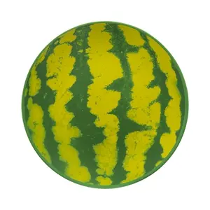 LULU POWERS Coupe Dinner Plate - Watermelon